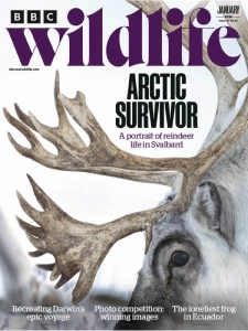 BBC Wildlife Magazine - January 2024 - 外刊库