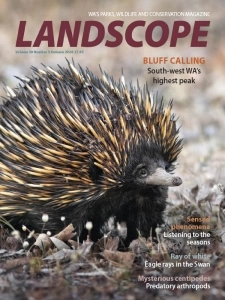 Landscope Magazine - Volume 39 Number 3, Autumn 2024 - 外刊库